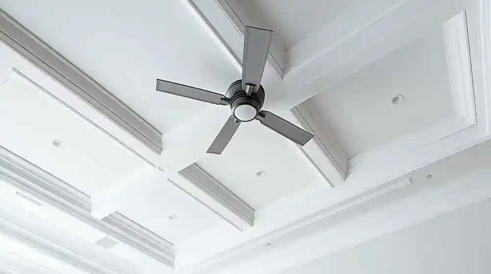 Double Fan Pop Design: The Art of Dynamic Elegance